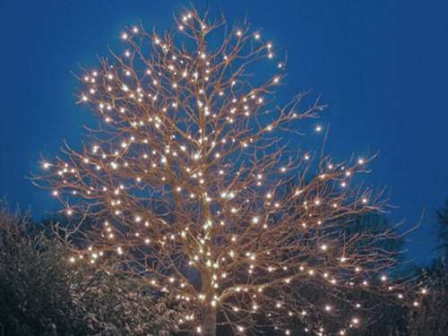 Weihnachtsbeleuchtung Fur Baume